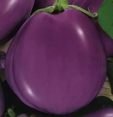 Piglet Eggplant: disgrifiad, llun, adolygiadau 11781_1