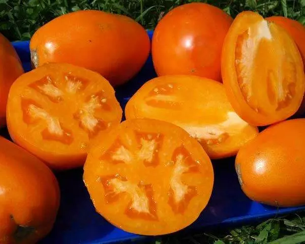 Tomato Golden Konigsberg: χαρακτηριστικά και περιγραφή της ποικιλίας 11931_2