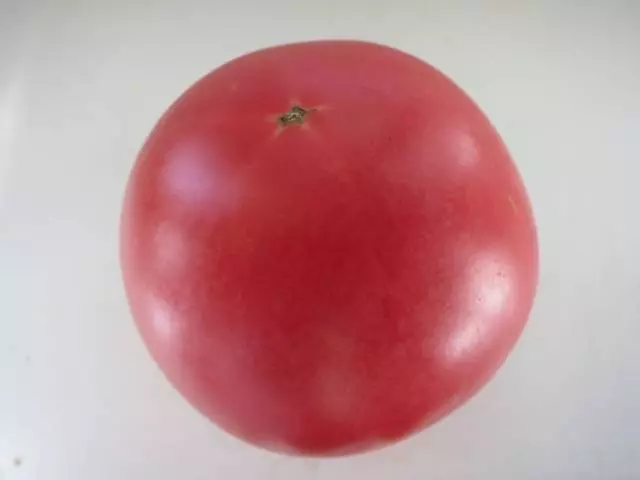 Tomato Pink Bush F1: đánh giá, hình ảnh của bụi 11960_2