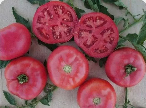 Tomato Pink Bush F1: đánh giá, hình ảnh của bụi 11960_3