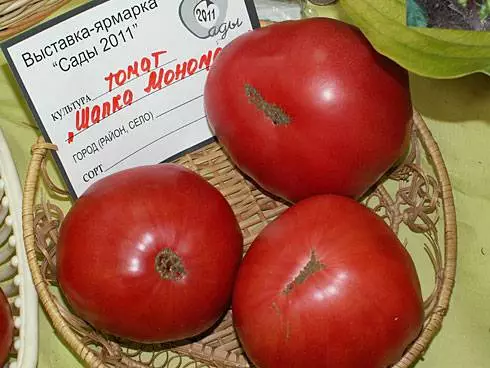 Tomato Cap of Monomakh: keterangan, foto, ulasan 11980_3