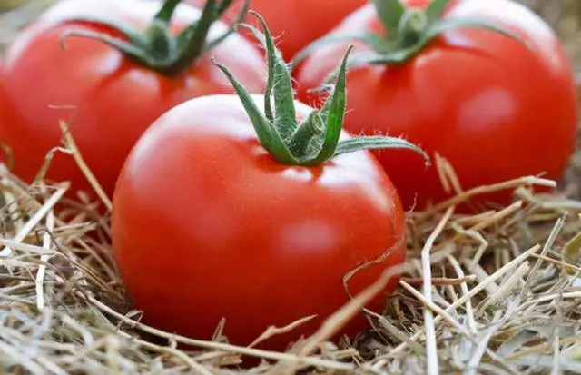 Tomato Sunrise F1: Varietéit Beschreiwung, Fotoen, Bewäertungen 11999_2