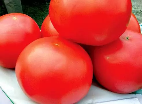 Tomato Sunrise F1: әртүрлілік сипаттамасы, фотосуреттер, шолулар 11999_4