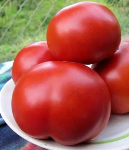 Tomate koipea: barietatearen ezaugarriak eta deskribapena 12012_5