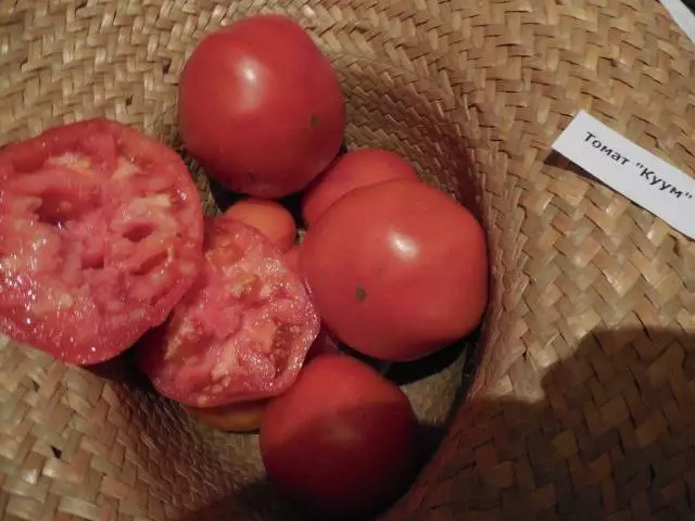 Tomato Koum: iba't ibang paglalarawan, larawan, repasuhin 12019_4