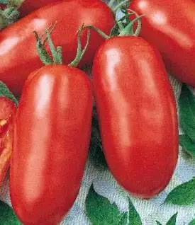 Pomodoro Kaspar: caratteristiche e descrizione della varietà 12038_2