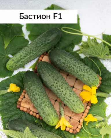 Cucumber Bastion f1: danasîna cûrbecûr, wêne, nirxandin 12061_1