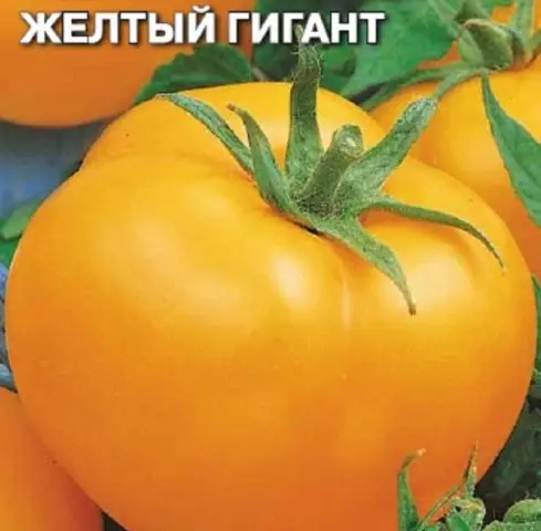 Tomate Yellow giant: litšoaneleho le tlhaloso ea mefuta-futa, lifoto, litlhaloso, lihlahisoa 12066_1