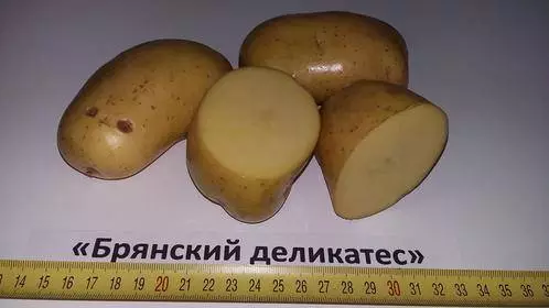 Ierappels Bryansk delikatesse: beskriuwing fan ferskaat, foto's, resinsjes 12119_1