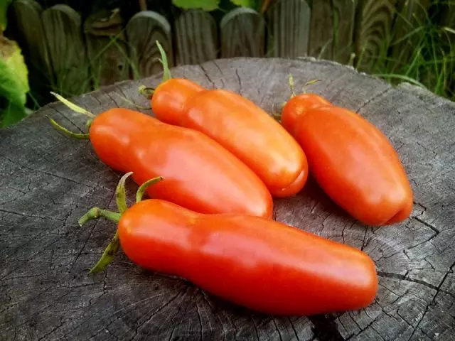 Tomate Egurra: barietate deskribapena, argazkiak, iritziak 12199_1