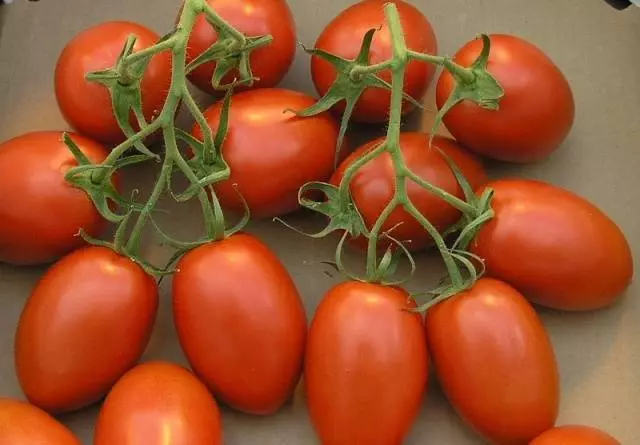 Tomato Roma: mawonekedwe ndi kufotokozera kwamitundu 12266_2