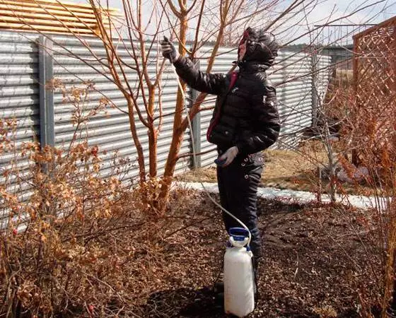 Dünger Harnstoff - Anwendung im Garten 12454_13