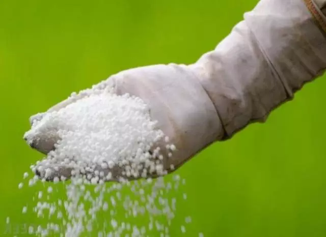 Fertilizer urea - application in the garden 12454_2