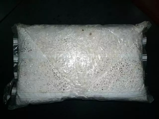 Nzira yekugadzira howa mycelium kumba 1249_12