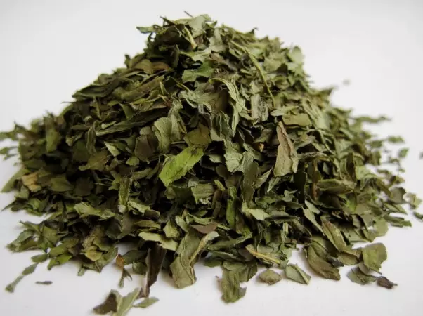 Menta rizada (verde, rizada, rizada): como se diferencia da menta, plantación e coidado, características de cultivo 12803_16