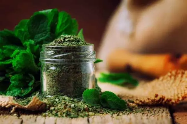 Peppermint Chill: semina e cura, caratteristiche di coltivazione, proprietà utili 12804_38