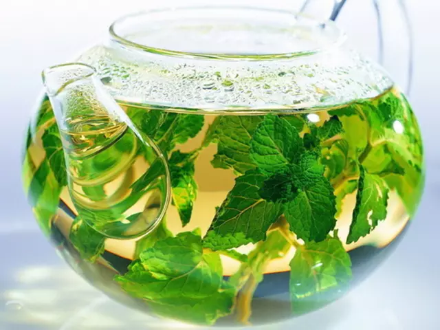 Peppermint Chill: semina e cura, caratteristiche di coltivazione, proprietà utili 12804_39