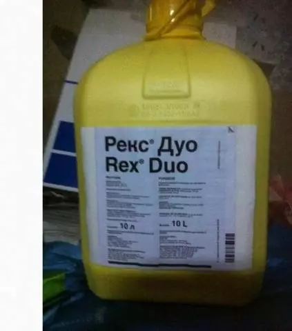 Μυκητοκτόνο Rex Duo: οδηγίες χρήσης, κριτικές 12897_1