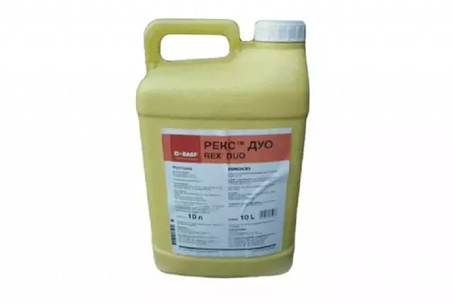 Fungicide Rex Duo: ការណែនាំសម្រាប់ការប្រើប្រាស់ការពិនិត្យ 12897_2