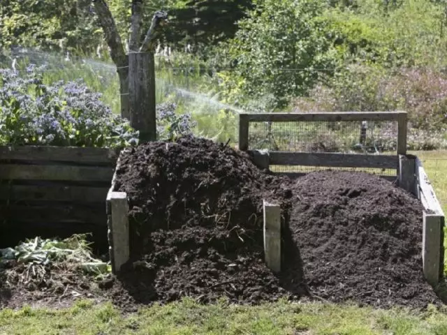 Kaninchen Dünger als Dünger: Virdeeler a Schued, wéi ze benotzen fir Indoor Planzen, Blummen 12898_3