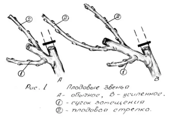 Drauwe préiwen am Hierscht + Schema 13032_14