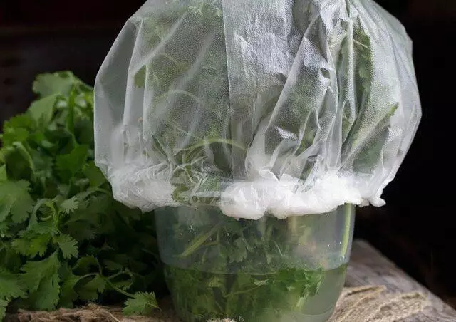 Paano panatilihing sariwa ang cilantro sa ref sa loob ng mahabang panahon 1312_4