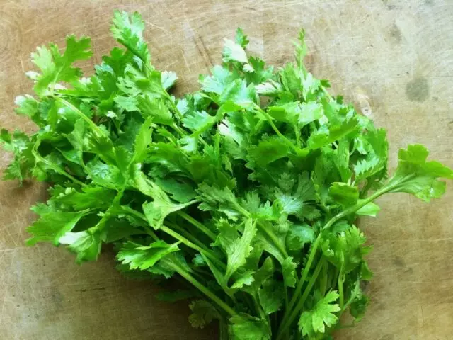 Paano panatilihing sariwa ang cilantro sa ref sa loob ng mahabang panahon 1312_5