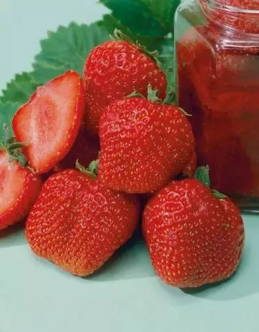 Strawberry Elvira: incazelo ehlukahlukene, izithombe, izibuyekezo 13145_4