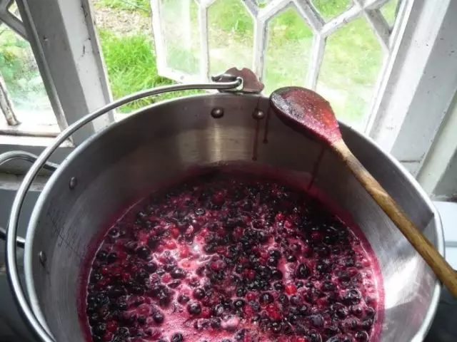 Mashed black currant para sa taglamig: mga recipe na mayroon at walang pagluluto, mga benepisyo 13337_7