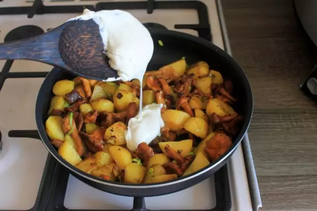 Chanterelles with potatoes in sour cream: in a pan, in the oven, slow cooker 13400_2