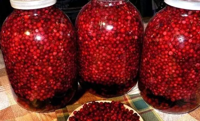 Lingonberries qış üçün: bişirmədən reseptlər 13464_10