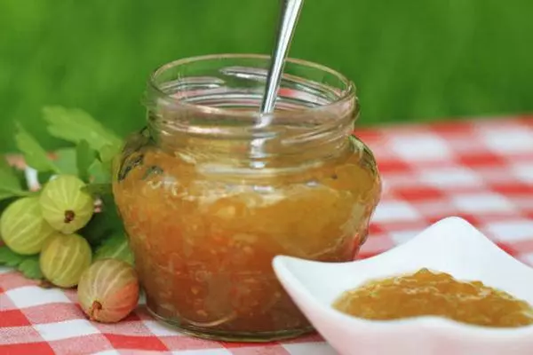 Gooseberry jelly for the winter: 17 recipes 13504_1