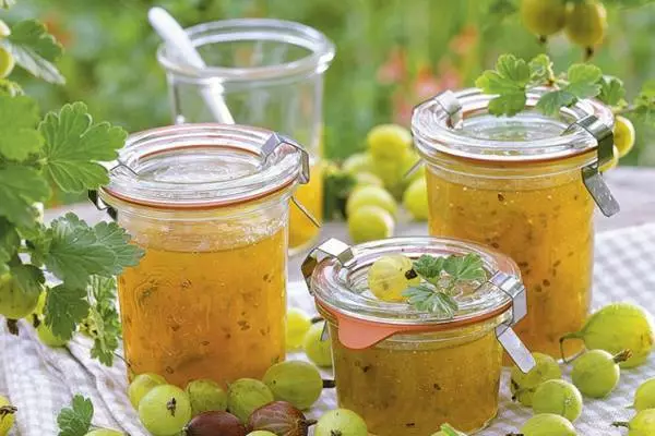 Gooseberry jelly for the winter: 17 recipes 13504_6