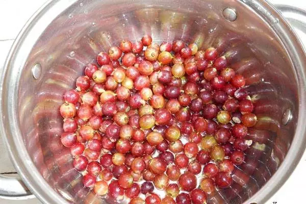 Gooseberry jelly for the winter: 17 recipes 13504_7