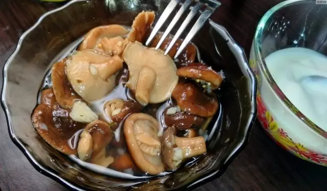 Shiitake em conserva: preparação, receitas culinárias, termos e condições de armazenamento 13560_2