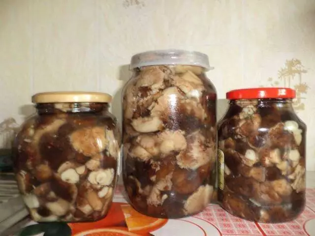 Pickled podpolniki (Sandboxes, Ryadovki, Topolevki): recipes for the winter with photos 13561_17