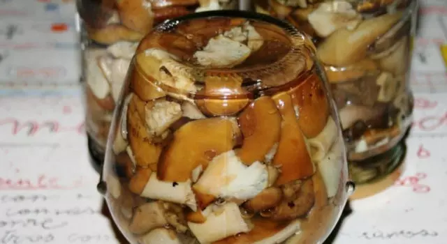 Pickled podpolniki (Sandboxes, Ryadovki, Topolevki): recipes for the winter with photos 13561_3