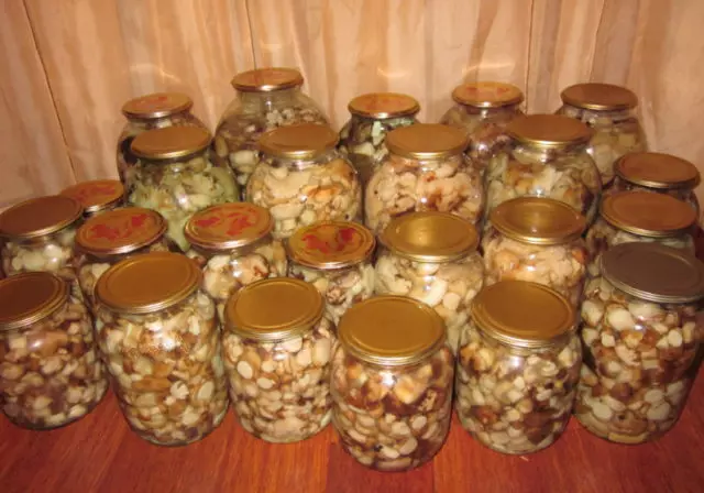 Pickled podpolniki (Sandboxes, Ryadovki, Topolevki): diresepe tsa mariha tse nang le linepe 13561_8