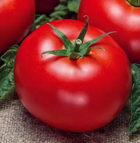 Tomato Volgogradets: ciri dan keterangan pelbagai 13717_2