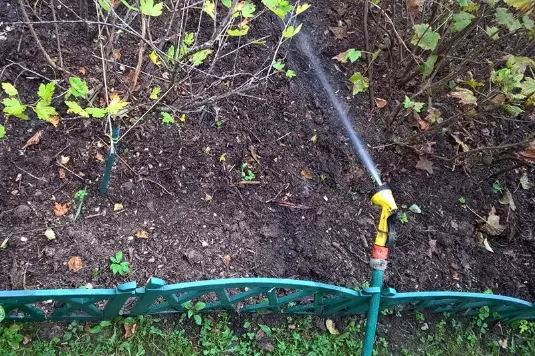 Obstbäume im Herbst pflegen 13765_6