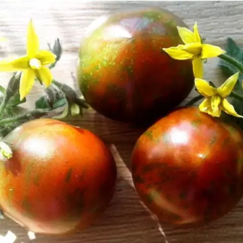 Hedfan Tomato Striped: adolygiadau, disgrifiad amrywiaeth, ffotograffau, nodweddion, cynnyrch 13818_1