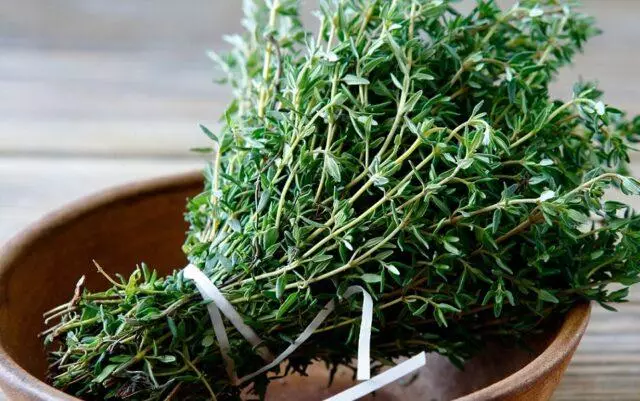 Thyme (thyme): akụrụngwa ọgwụ, contraindications maka ụmụ nwanyị na ụmụ nwoke, ngwa, nyocha 1391_3