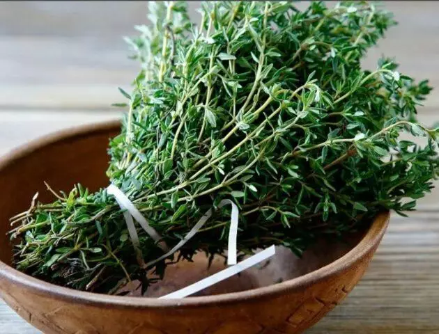 百里香（thyme）：它的樣子，植物的照片，它是什麼藥草，它在俄羅斯的生長方式和地點 1393_1