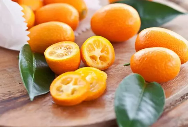 Kumquat (kinkan, fortunella): ဘယ်အသီးကဘယ်လို၊ ဘယ်လိုစားသလဲ၊ ကြီးထွားလာသည်၊ ကယ်လိုရီပါဝင်မှု၊ အသုံးဝင်သောဂုဏ်သတ္တိများ 14323_4