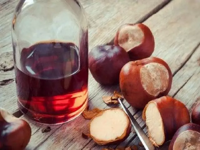 Horse chestnut tincture: benefits and harms, recipes, applications, reviews 1439_4