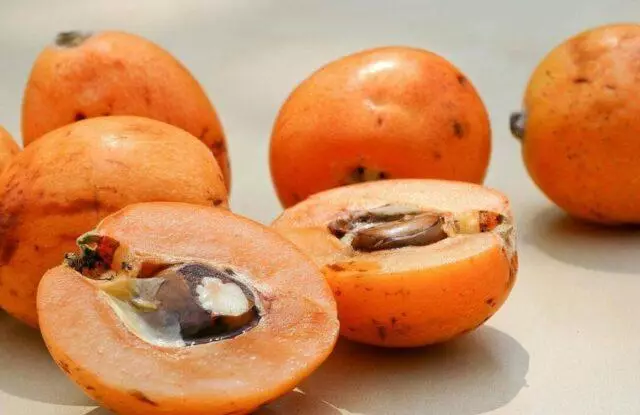 Medlar: اھو ڪھڙو ميوو آھي ، فوٽو ، مفيد خاصيتون ۽ تضاد ، ڪيئن کائڻ 1476_2