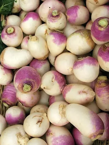 Amashanyarazi (forage turnip): uko isa, ubwoko, guhinga no kwita, ifoto 14810_1