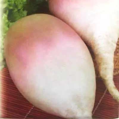 Turnips (ຜັກບົ່ວອາຫານສັດ): ມັນຄ້າຍຄືແນວໃດ, ແນວພັນ, ການປູກແລະການດູແລ, ຮູບຖ່າຍ 14810_3