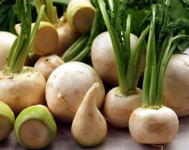 Turnips (ຜັກບົ່ວອາຫານສັດ): ມັນຄ້າຍຄືແນວໃດ, ແນວພັນ, ການປູກແລະການດູແລ, ຮູບຖ່າຍ 14810_4