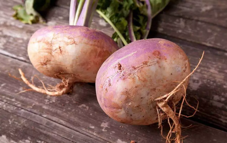 Rutabaga: foto, qué tipo de vegetal es, propiedades útiles y contraindicaciones, aplicación.